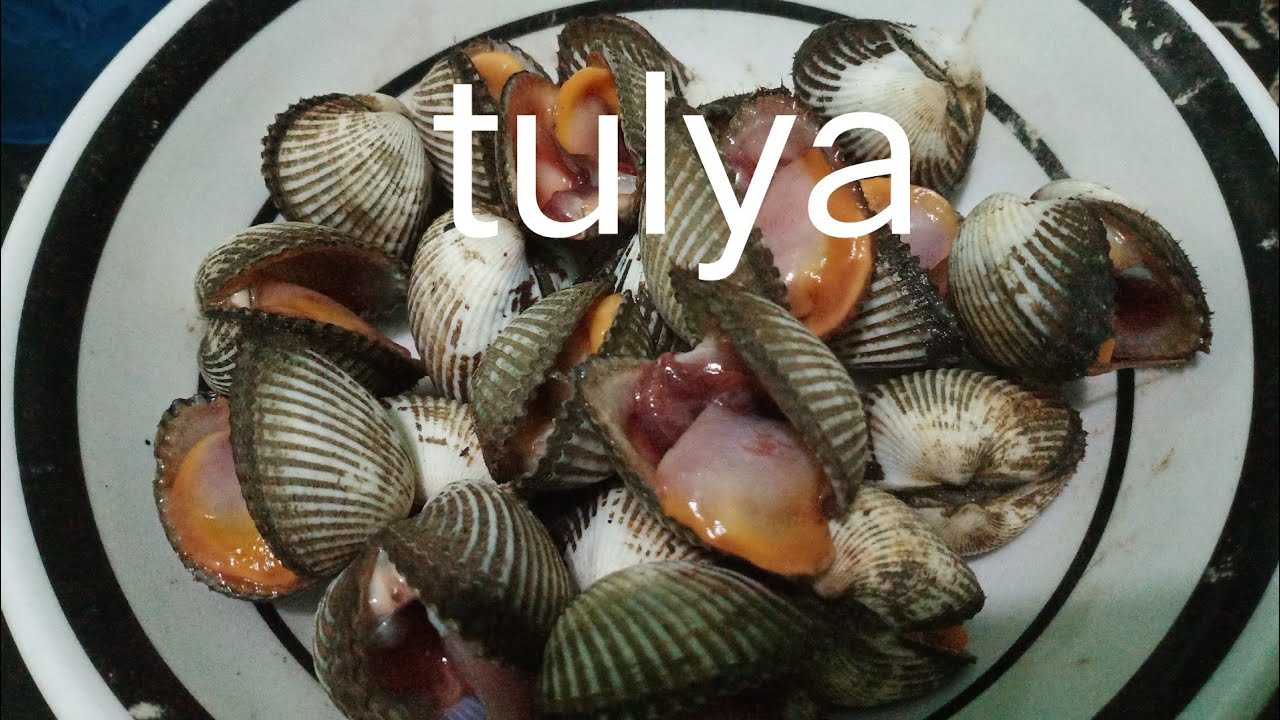 GINISANG TULYA | PAANO LINISIN ANG TULYA - YouTube