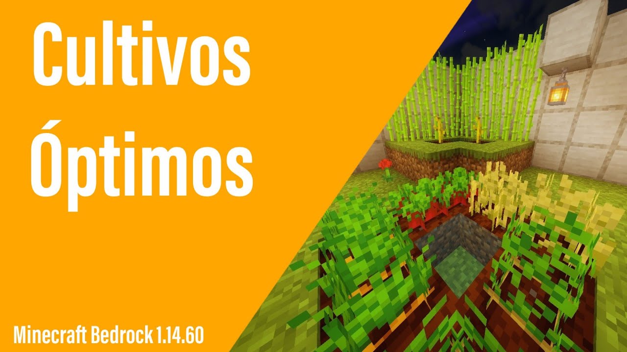 Cómo hacer cultivos óptimos | Minecraft PE (Bedrock) - YouTube