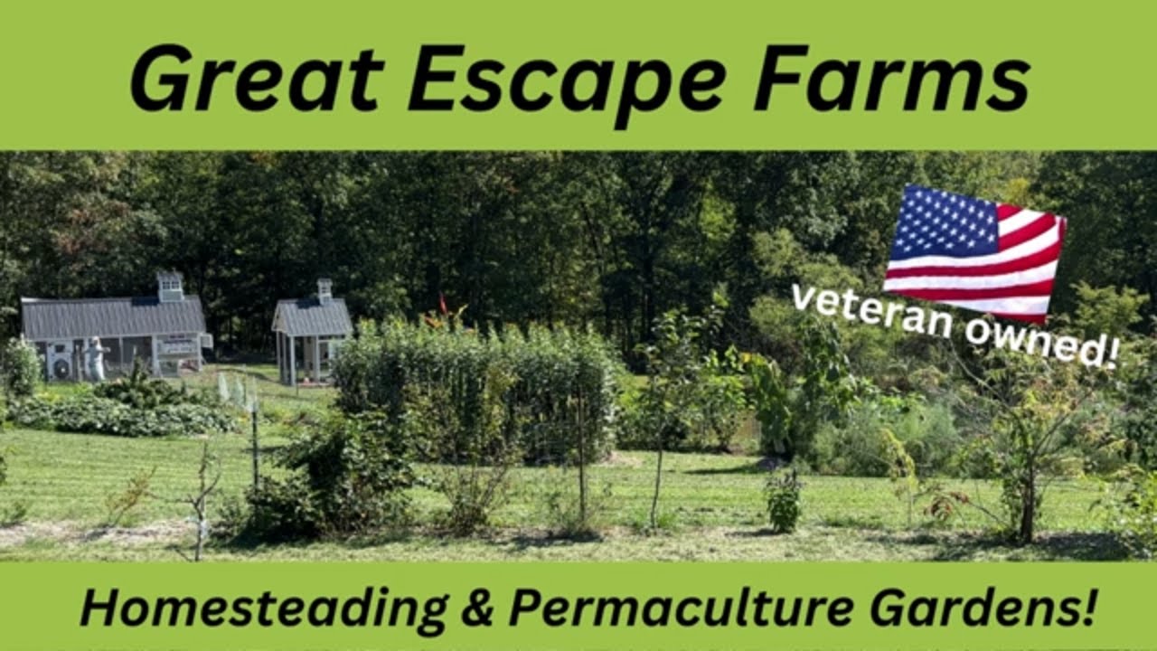 Great Escape Farms tour! Veteran-owned small business - homesteading ...