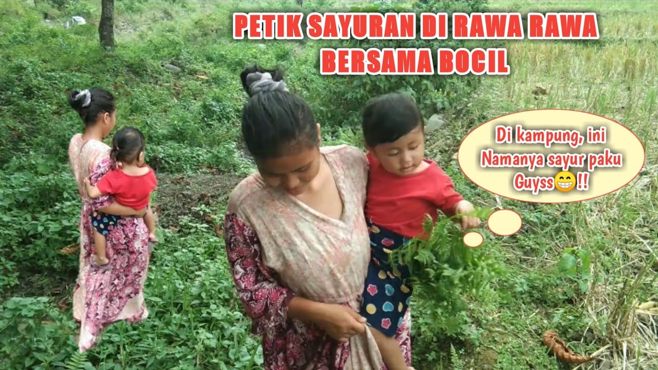 Village life - Petik sayuran pakis / paku di rawa rawa bareng bocil ...