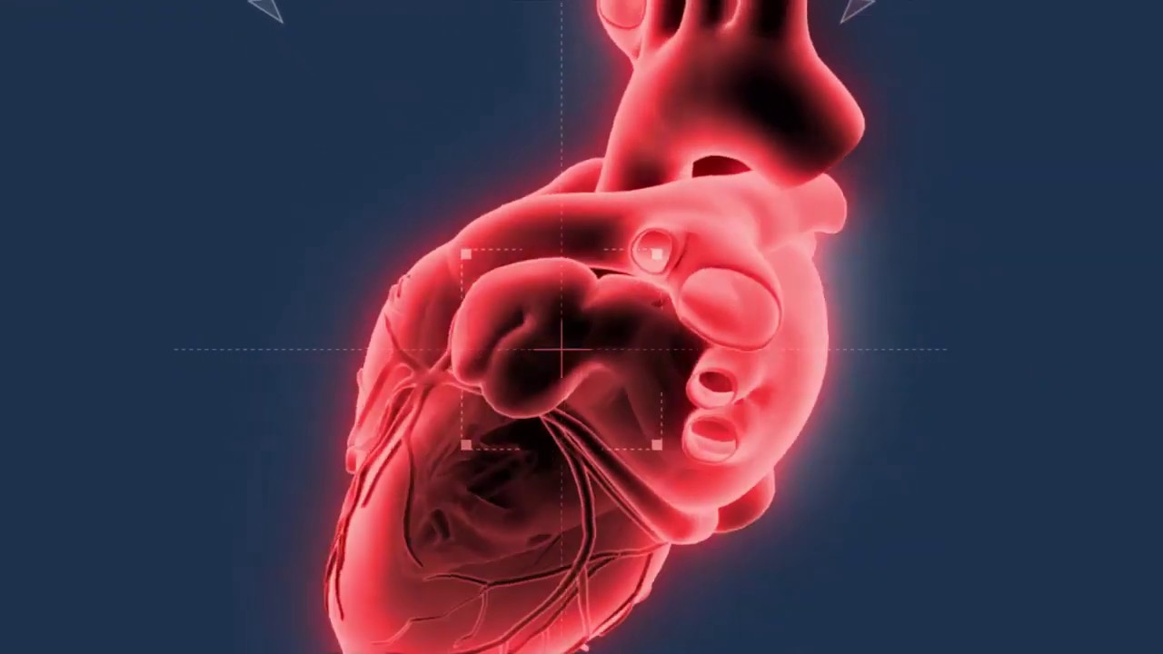 ¿Qué es la Cardiopatía Reumática? - YouTube