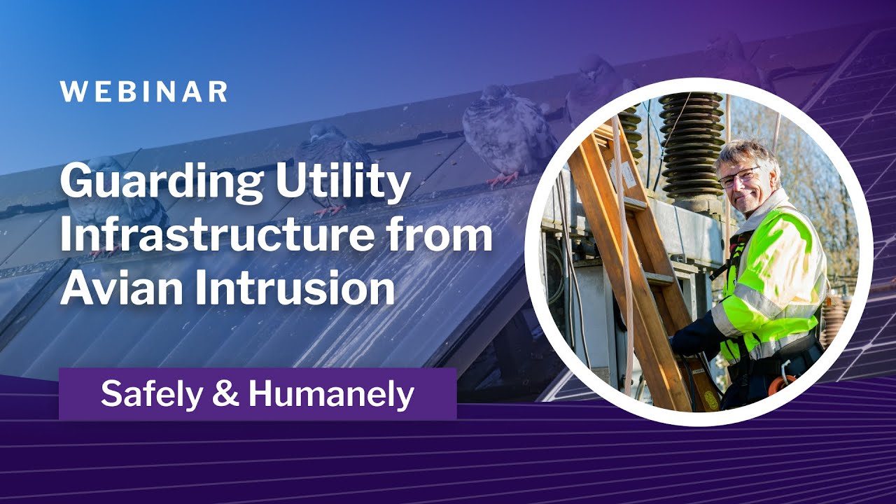 The Silent Threat: Guarding Utility Infrastructure from Avian Intrusion ...