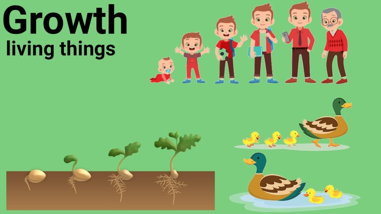 Growth- Living on earth part 3 - YouTube