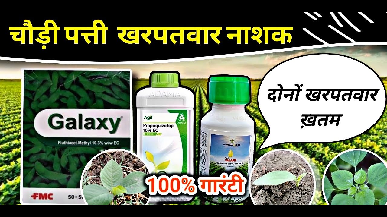 FMC GALAXY | सोयाबीन मे चौड़ी पत्ती खरपतवार नाशक | galaxy herbicide ...