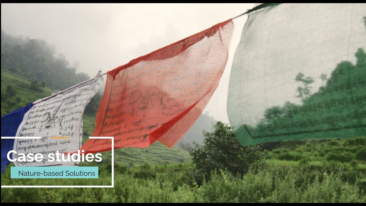 3.1 – Learn with case studies[NbS for the local communities] - YouTube