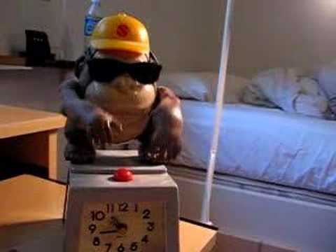 Gorilla Alarm Clock - YouTube