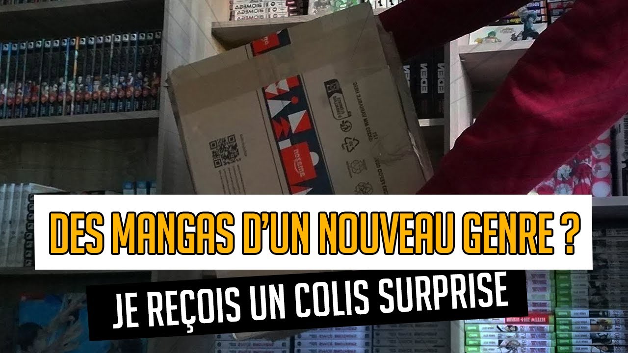 Échange de colis mangas et découverte d'un nouveau genre feat. Ségohayo ...