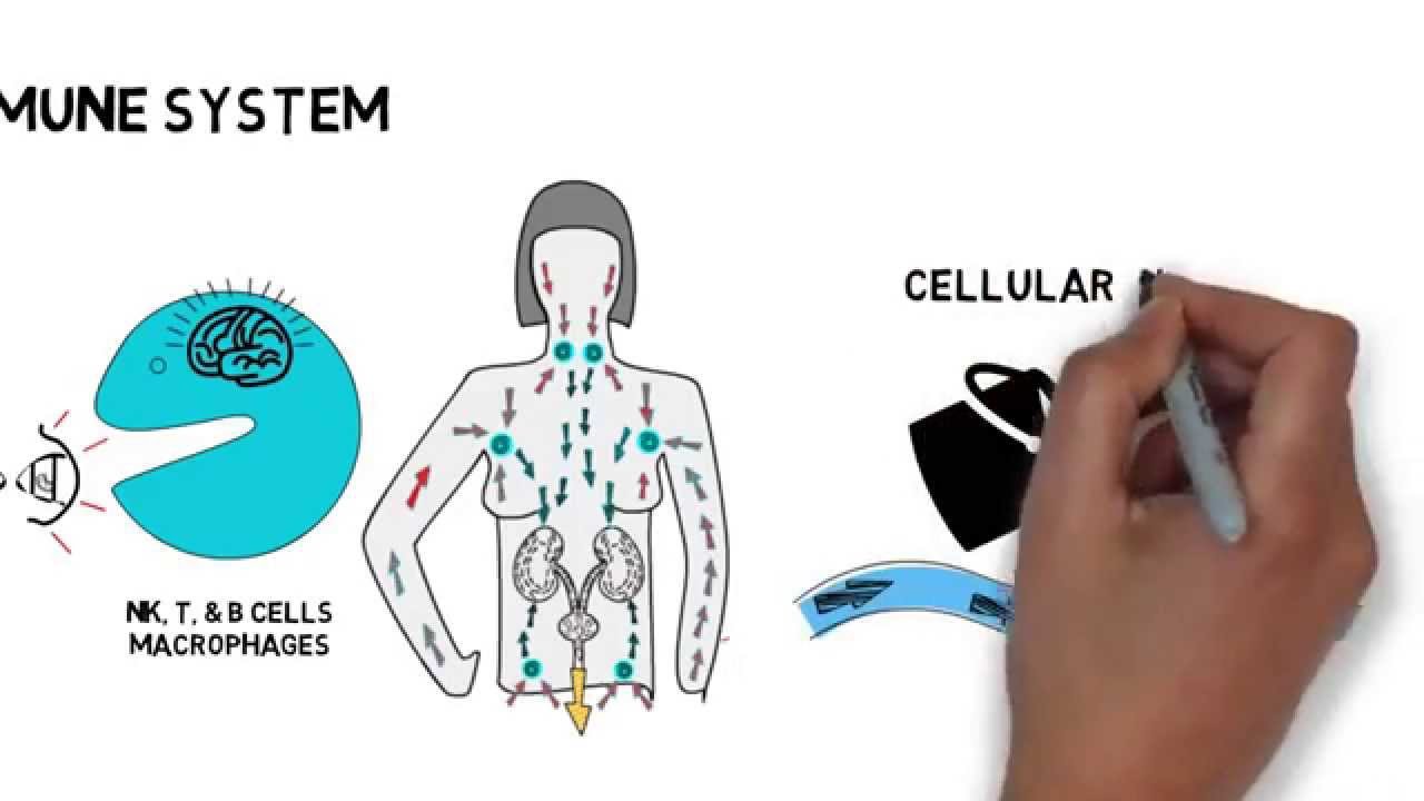 Cancer Simplified | Acidosis | Physical Laws - YouTube