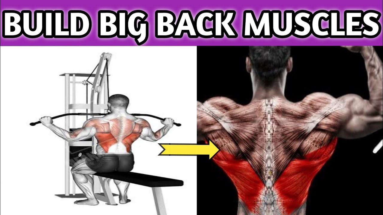 9 Best Exercise For Back Workout | Complete Back Workout For Muscle ...