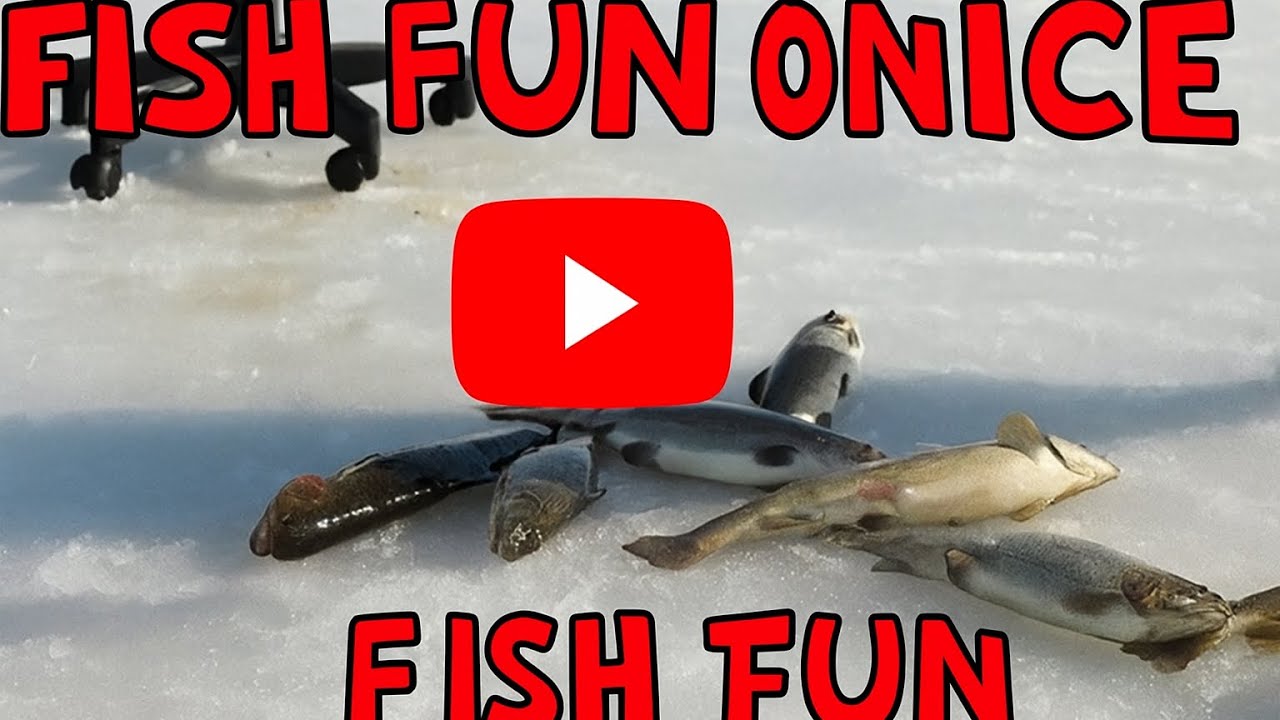 Fish Fun on Ice! | Catching and Chilling with the Coolest Winter Fish ...