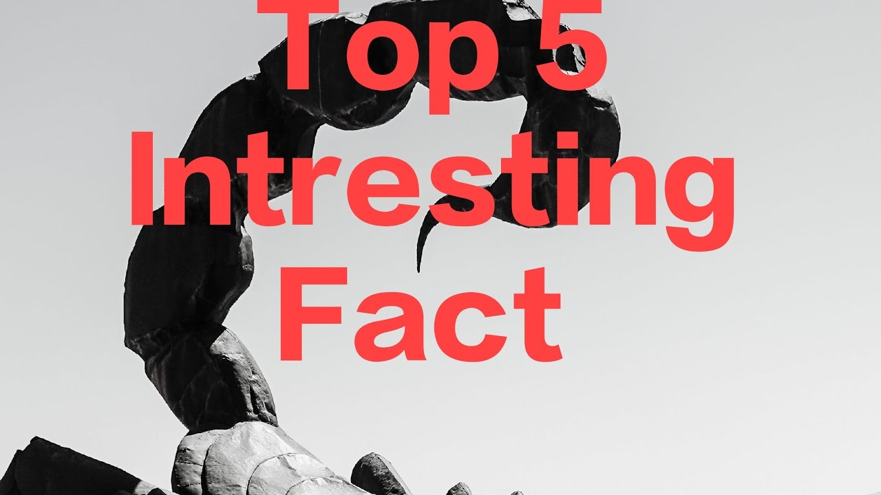 🌹Top 5 most interesting Fact | Amazing Fact | Facts 🌹 - YouTube