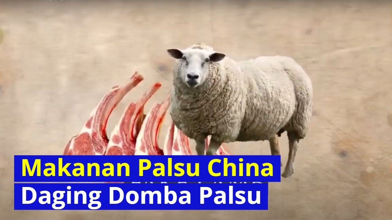 Makanan Palsu China, Daging Domba Palsu - YouTube