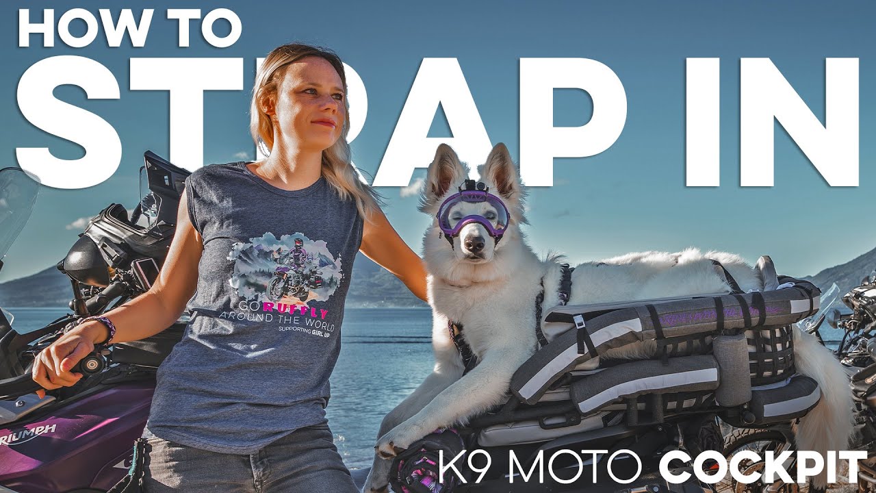 How to strap your dog in for safe riding | K9 MOTO COCKPIT - YouTube