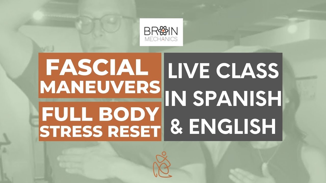 Full Body Stress Organ Reset In Spanish English Fascial Maneuver full-body-stress-organ-reset-in-spanish-english-fascial-maneuver