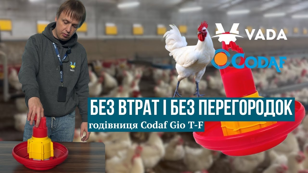 Без втрат і без перегородок — годівниця Codaf Gio T-F - YouTube