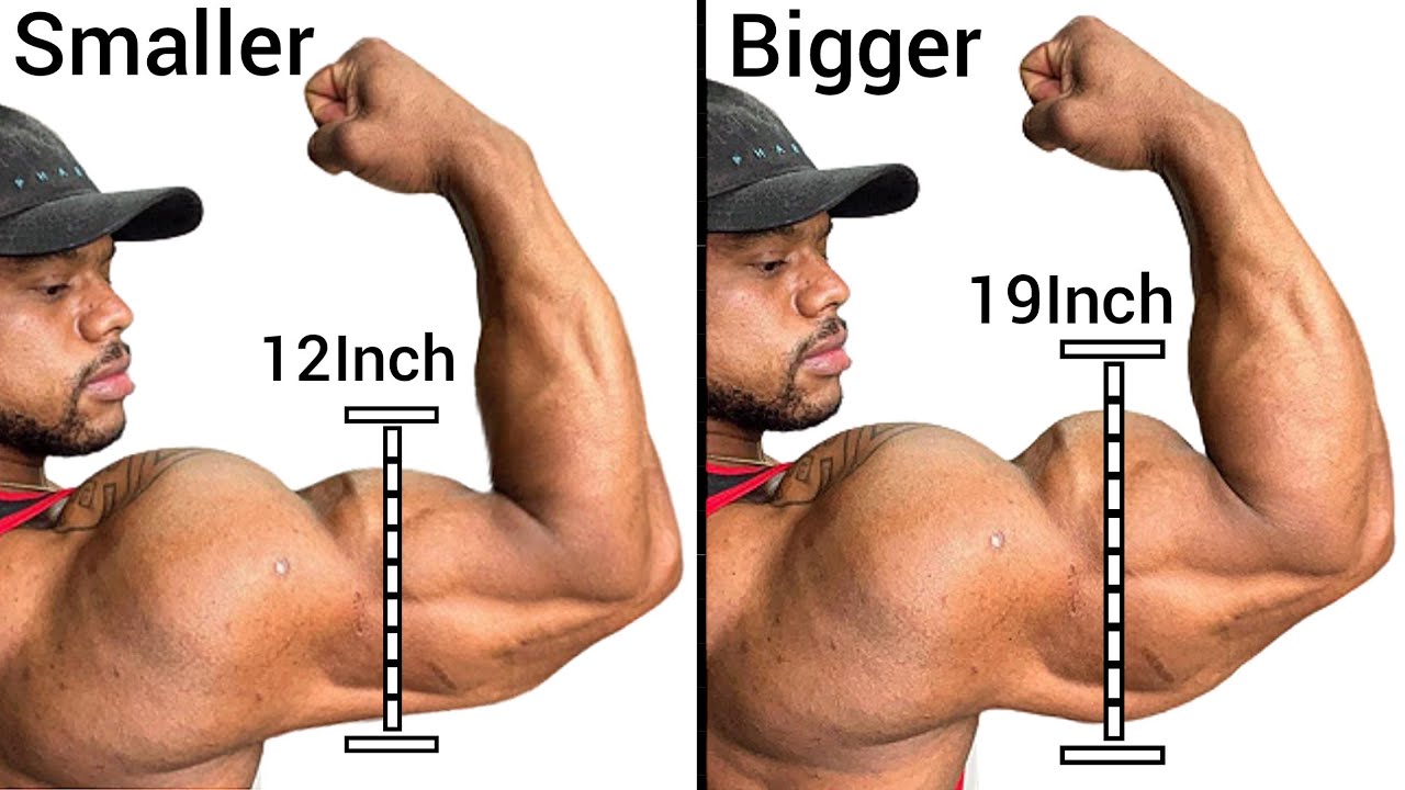 Arms Workouts to Get Huge Biceps Triceps Exercise - YouTube
