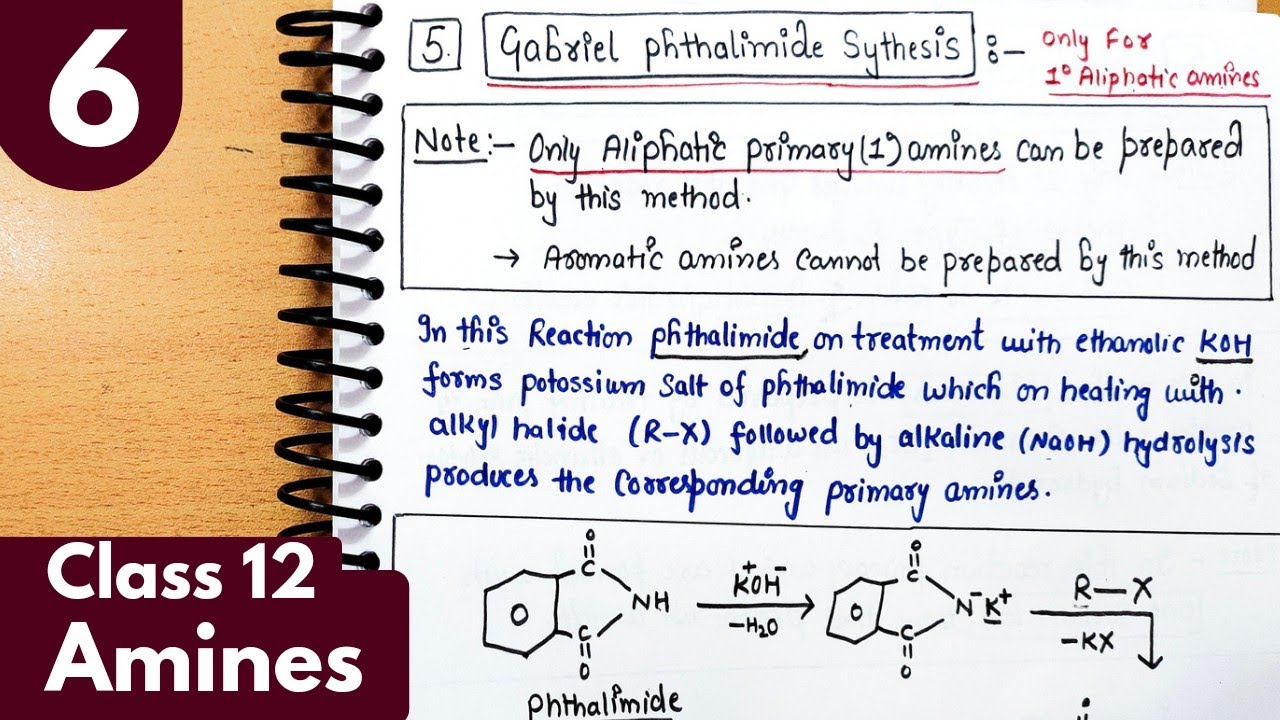 In The Gabriel Synthesis Of Primary Amines Solved In The Gabriel