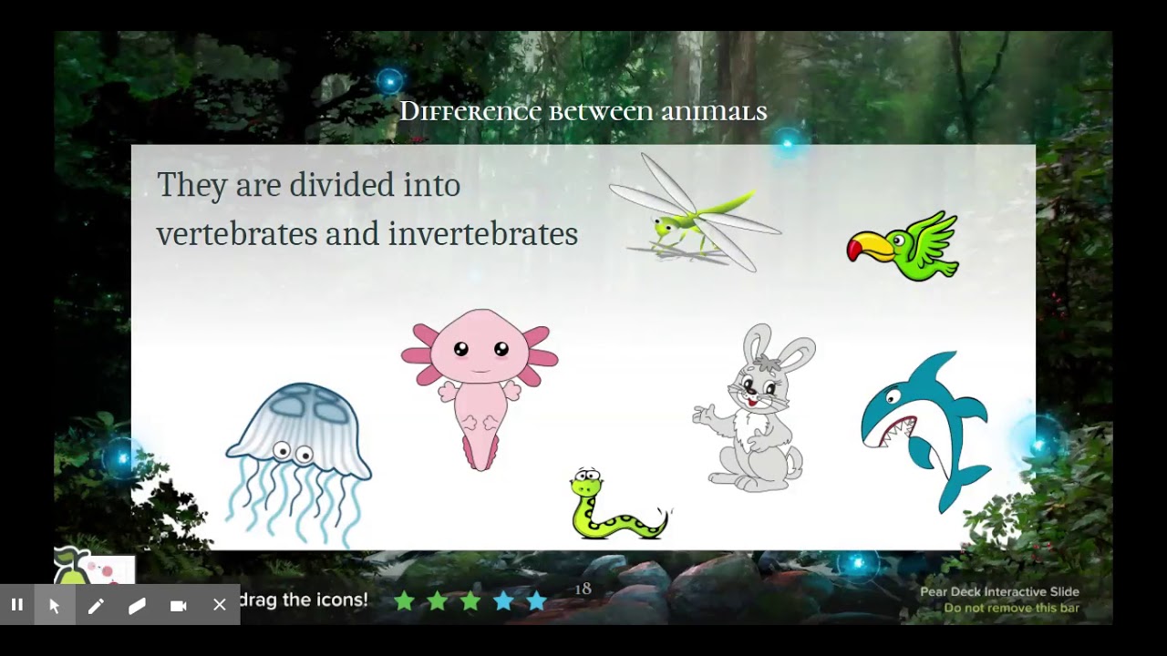 Living things grow and reproduce - 5th grade - YouTube