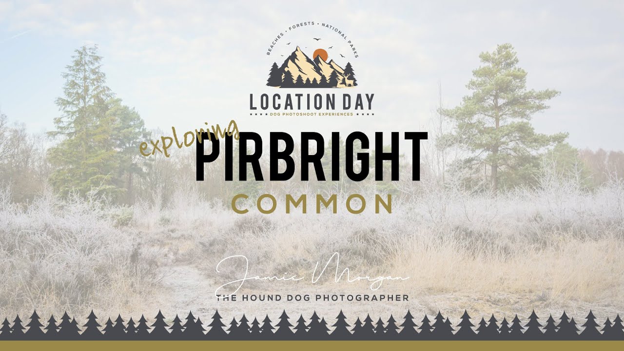 Exploring Pirbright Common with Dog Photographer, Jamie Morgan - YouTube