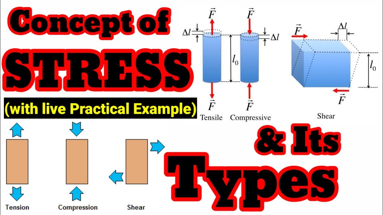 Stress: Complete Concept of Stress: Types of Stress - YouTube