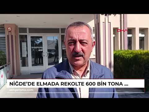 NİĞDE'DE elmada rekolte 600 bin tona ulaştı