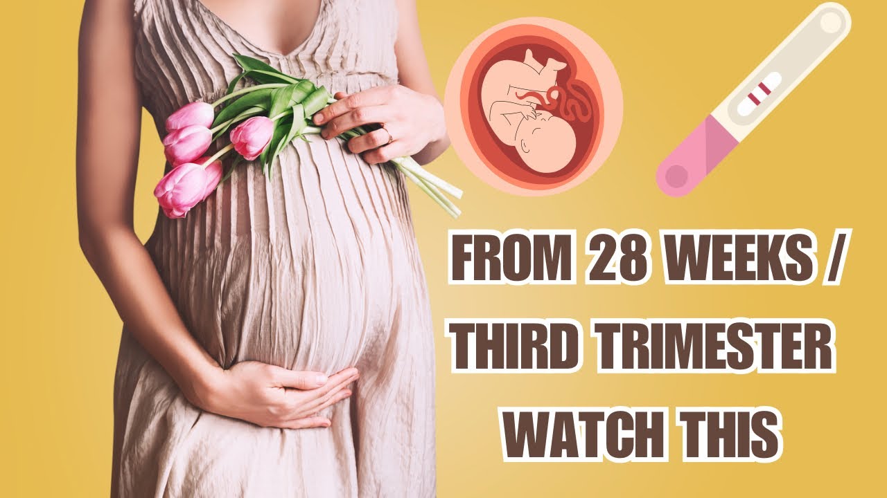 28th Week of Pregnancy: What to Expect - YouTube