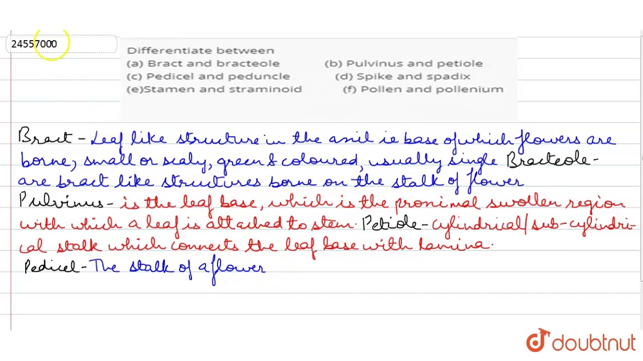 Differentiate between (a) Bract and bracteole `\" \"` (b) Pulvinus and ...