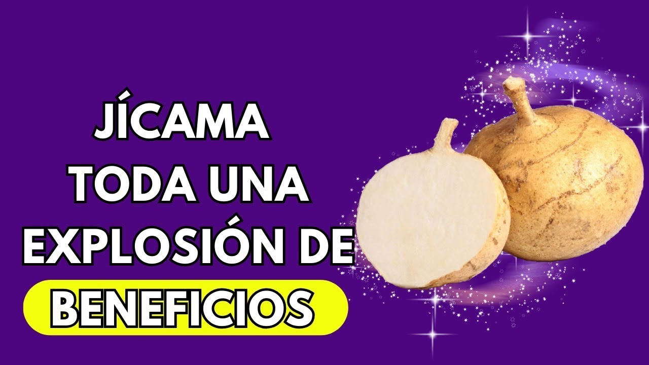 Descubriendo Los Maravillosos Beneficios De La Jícama 🔶 Propiedades De ...