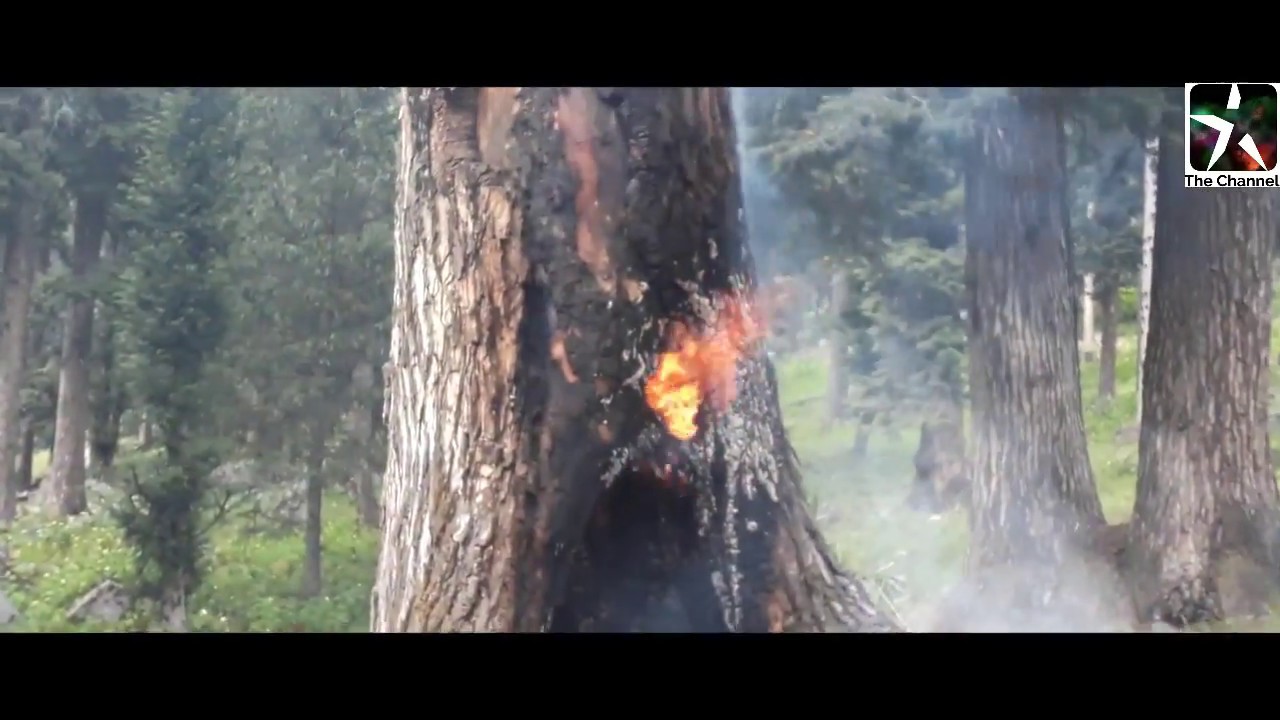 How human destroy nature - YouTube