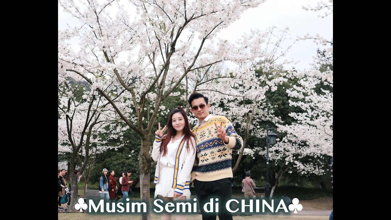 BERUNTUNG DAPAT MOMENT SEPERTI INI DI CHINA 😅 | MUSIM SEMI TELAH TIBA ...