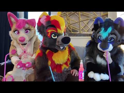 Furries try Cracker Barrel sodas (Ft. Rebel Collie and Nalu The Catfish)