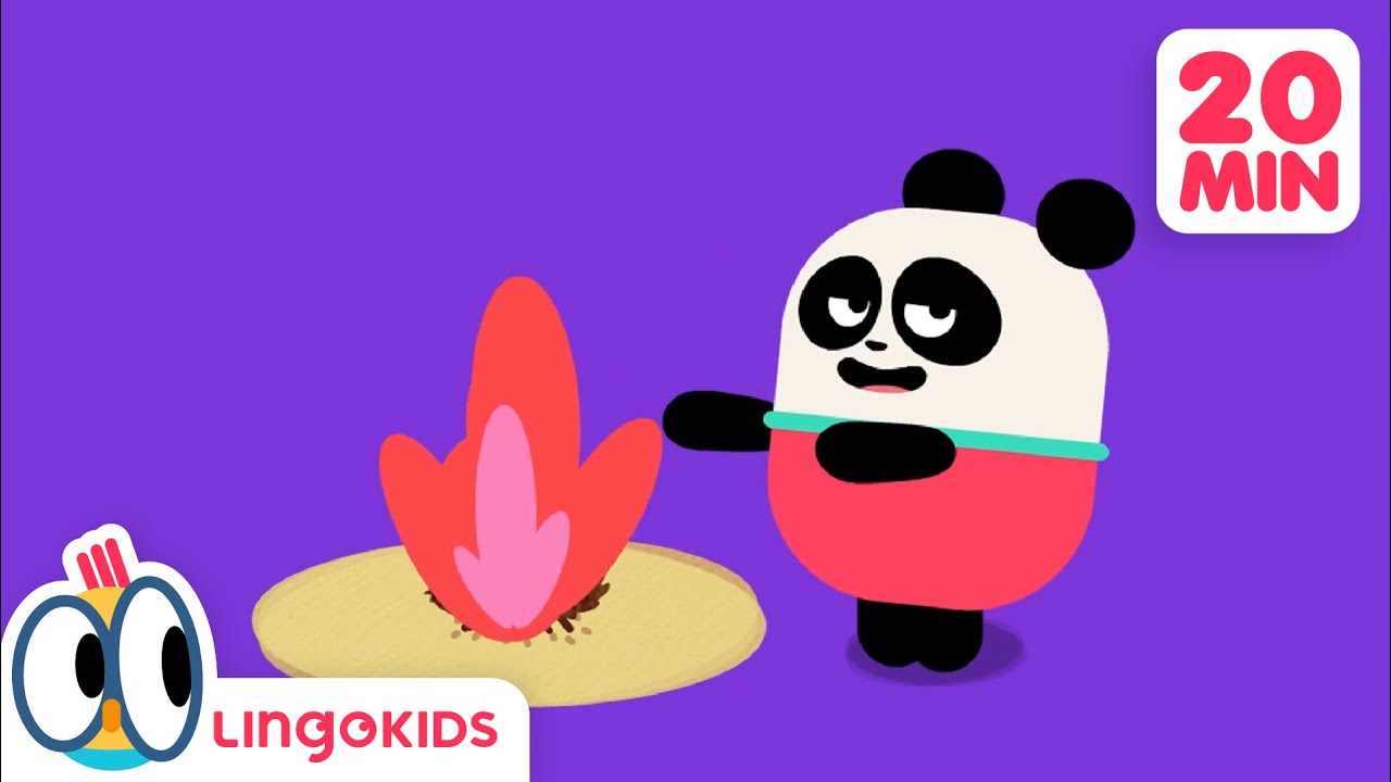ALL ABOUT POO 💩 What is DIGESTION? + More Lingokids Cartoons for Kids ...