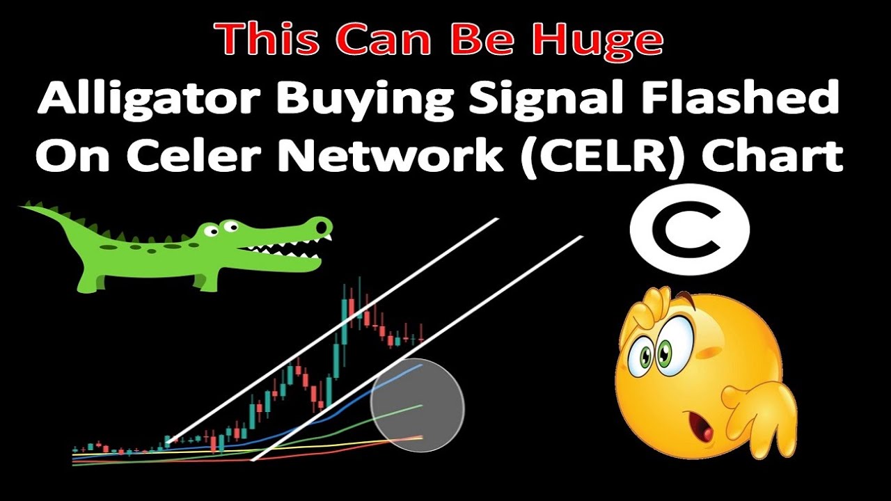 This Can Be Huge Alligator Buying Signal Flashed On Celer Network (CELR ...