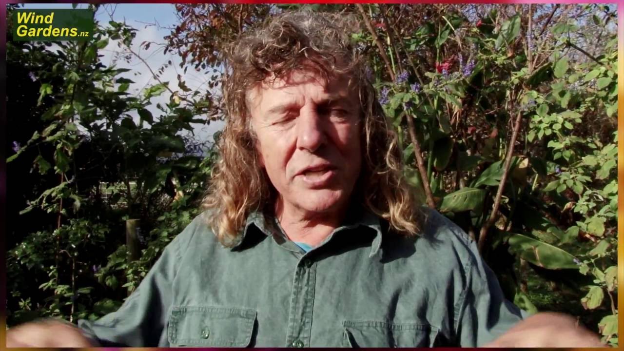 Introduction video Jacob de Ruiter from WindGardens.nz - YouTube