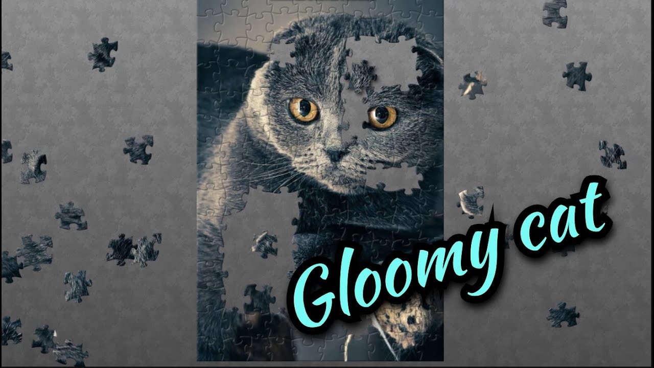 Gloomy cat - YouTube
