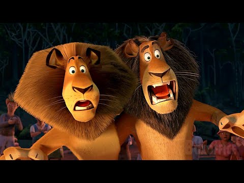 Las escenas más conmovedoras de Madagascar 2 🌀 4K