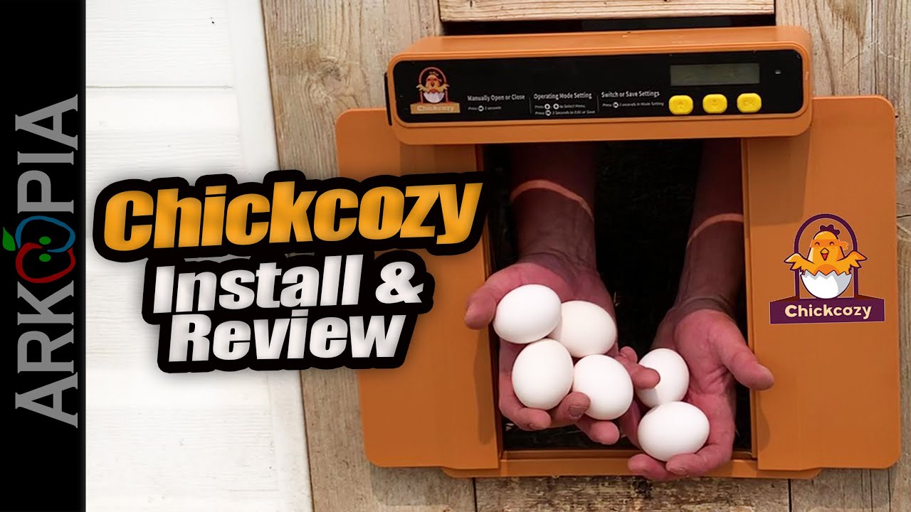 Chickcozy Automatic Chicken Door - Full Install, Overview, & Review. 10 ...