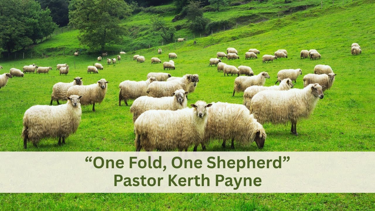 9/13/2025 - "One Fold, One Shepherd" - YouTube