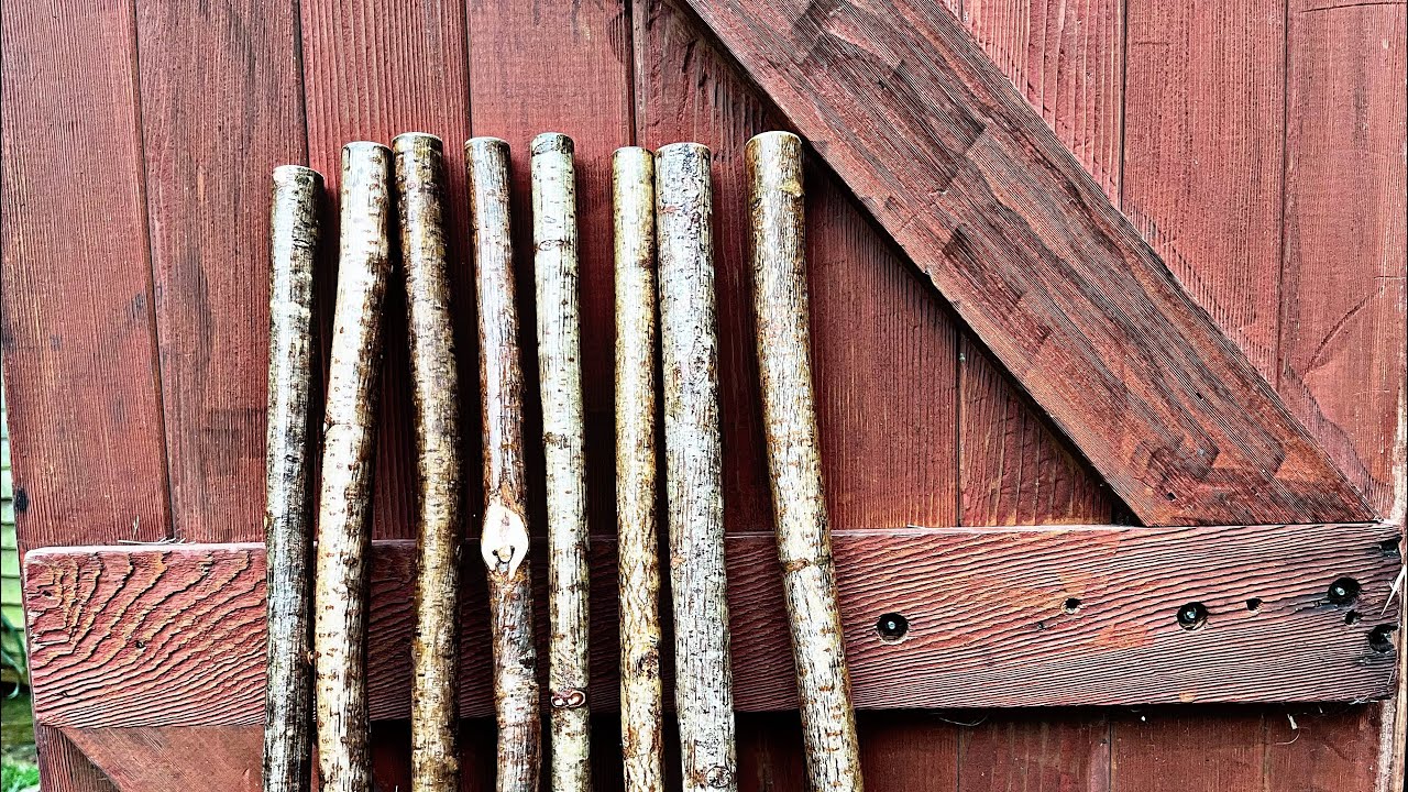 The perfect Hazel Walking Stick making Hazel Jo Staff - YouTube