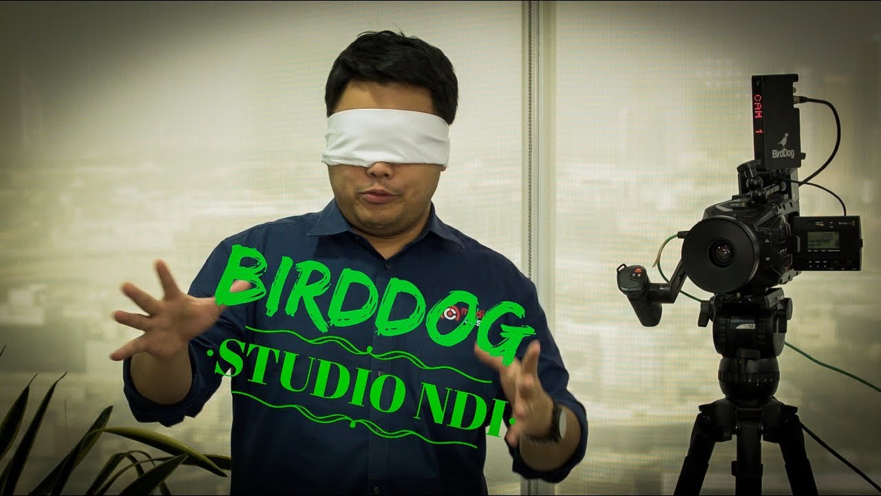 BirdDog Studio NDI: Connect any camera, computer, or console to any ...