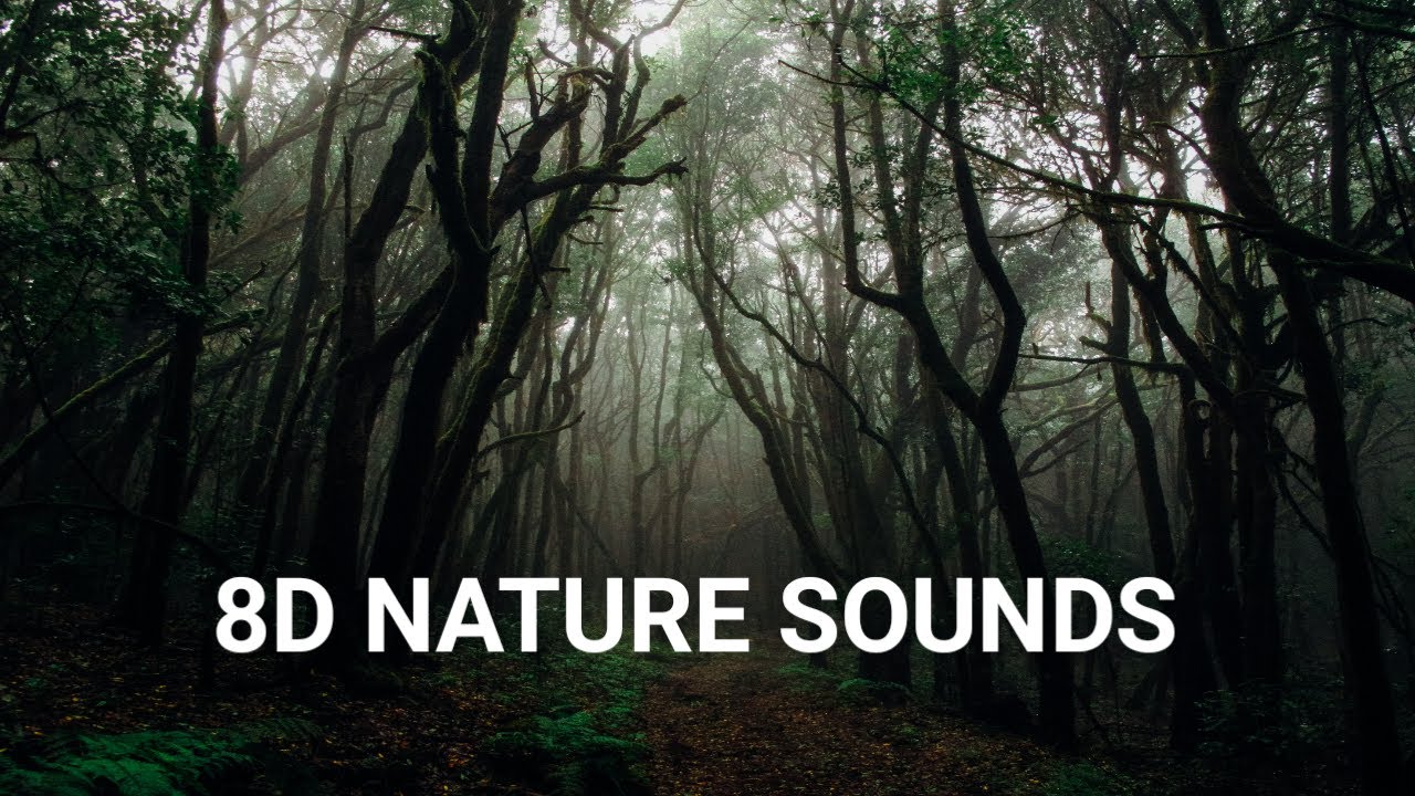 8D Nature Sounds | Relaxing Nature ASMR | USE HEADPHONES - YouTube