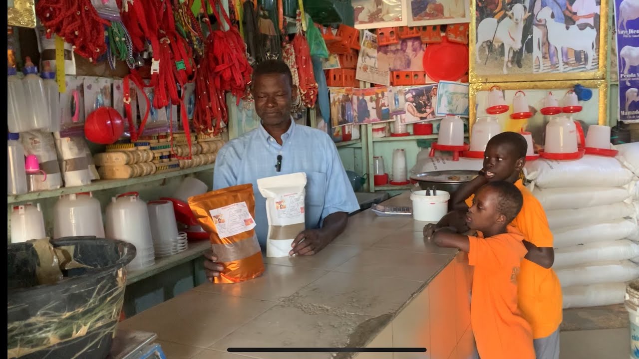 TARAL NDIOUR GUI AK OUDÉ DIAGNE 776370966 - YouTube