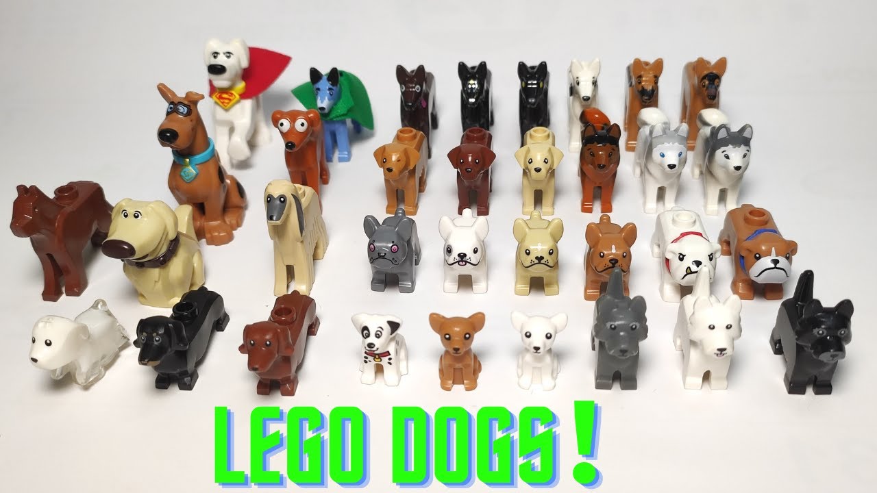 LEGO Dogs Collection！ #LEGO#樂高 - YouTube