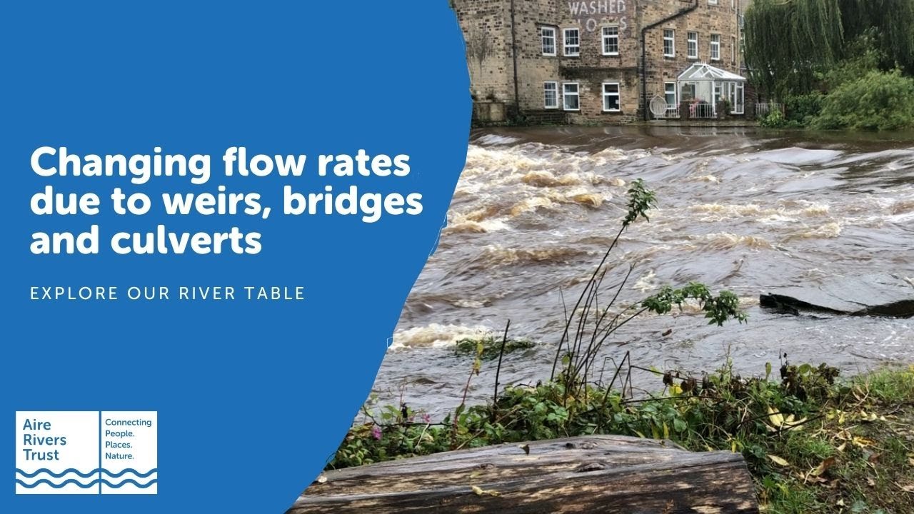 How structures in the river change river flow - YouTube