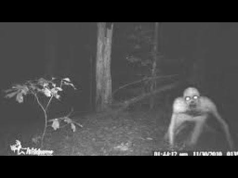 16 pictures of Cryptids with commentary!! episode 6 - YouTube