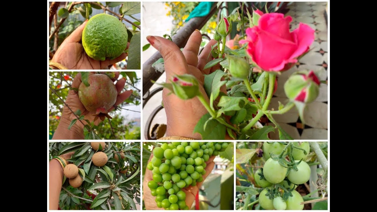 Lady legend Award.. - YouTube