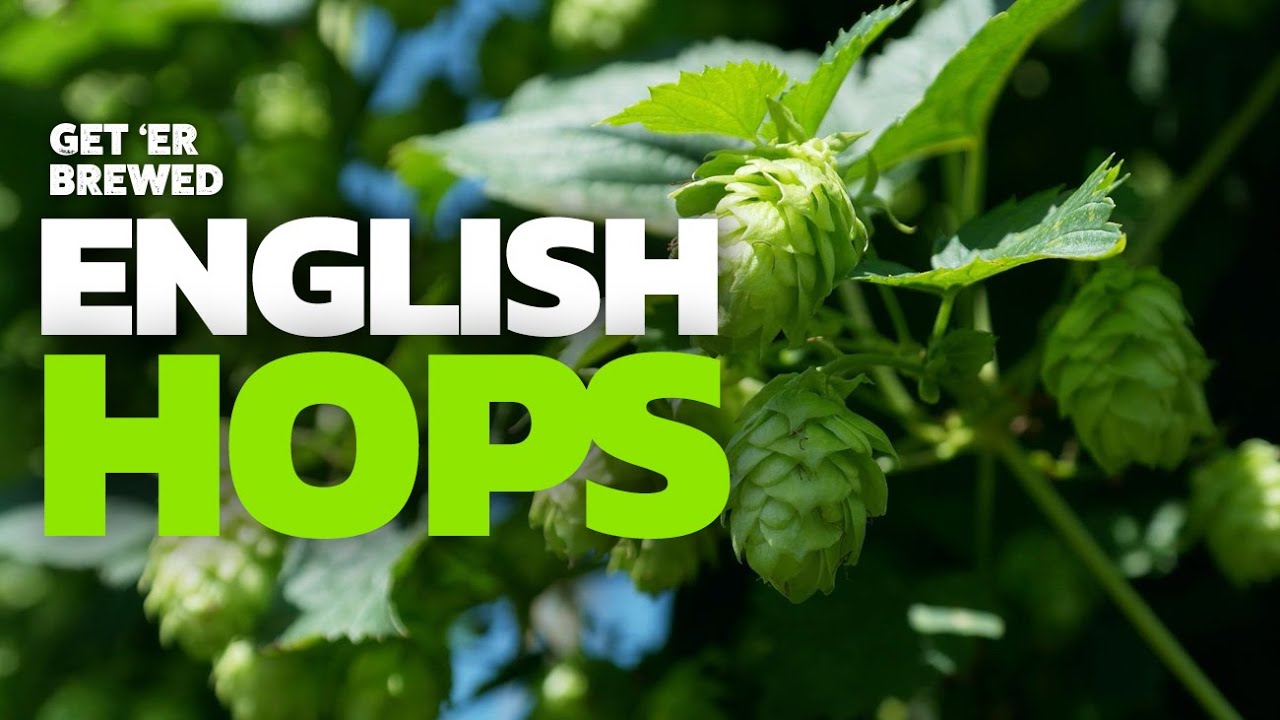 What hops are from the UK? Support English Hops Now - YouTube