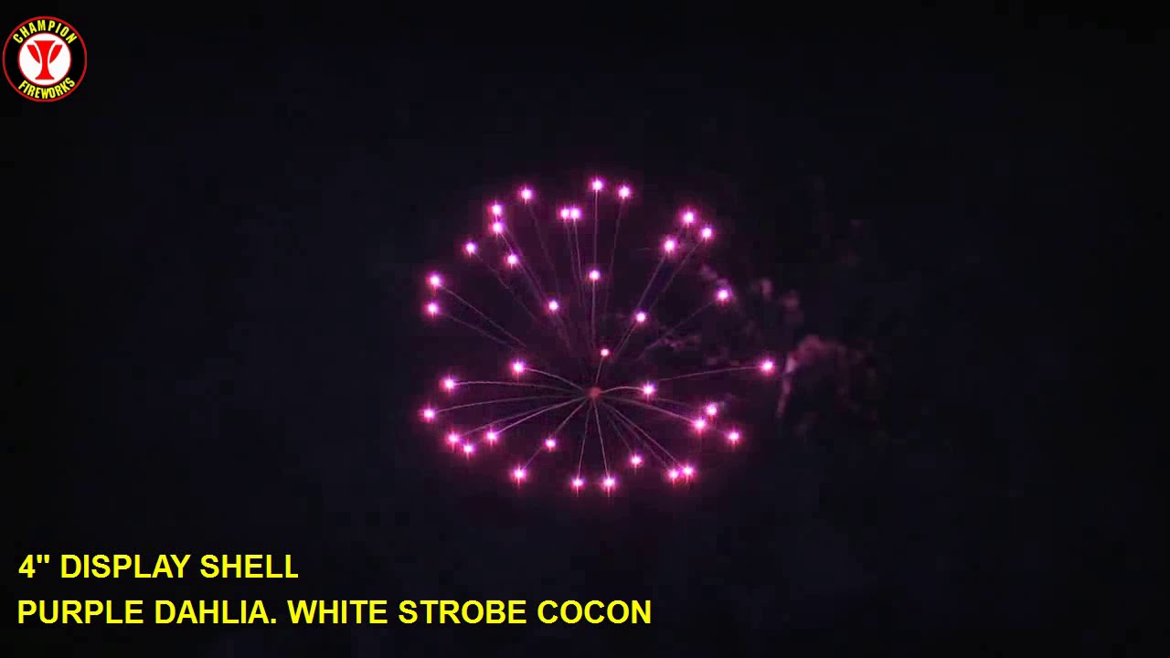 4 inch shell fireworks: PURPLE DAHLIA WHITE STROBE COCONUT - YouTube