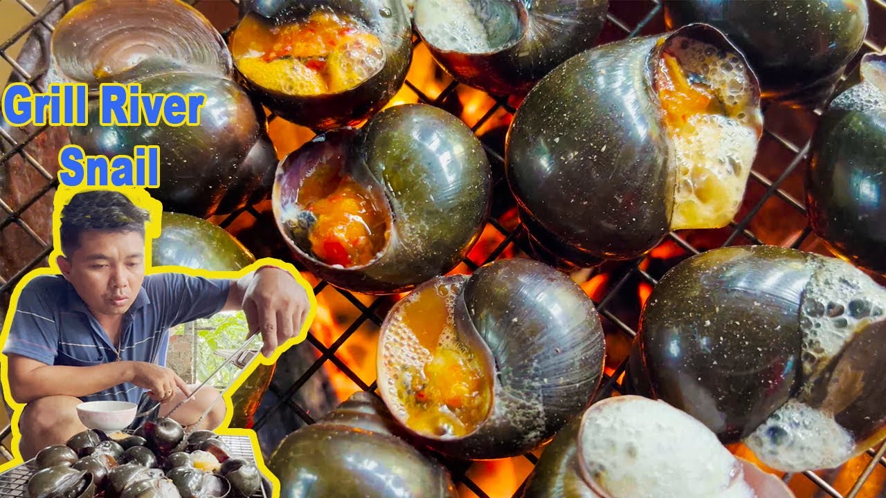 Yummy cooking snail with spicy sauce | Eating Grilled snail with chili ...