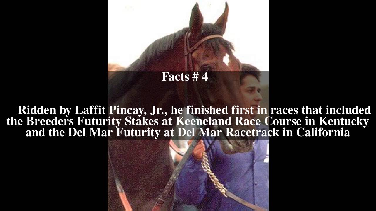 Tasso (horse) Top # 10 Facts - YouTube